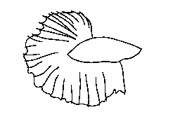 How to Draw: Pets! - Fish
