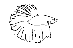 How to Draw: Pets! - Fish